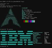 Arch Linux For Wii U Linux Wiiu Org Free Download Borrow And Streaming Internet Archive