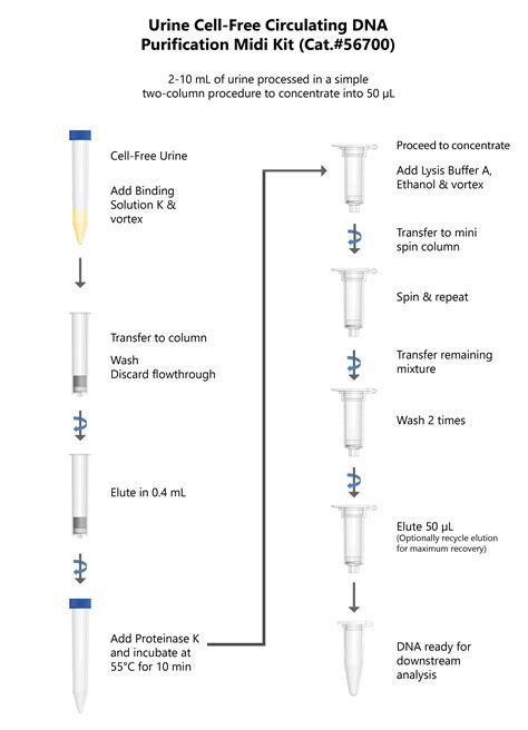 Urine Cell Free Circulating Dna Purification Kits Norgen Biotek Corp