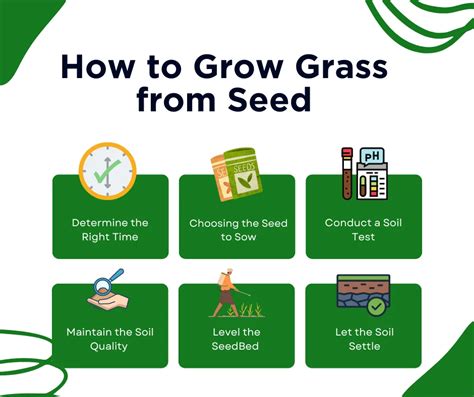 How To Grow Grass From Seed Complete 13 Step Guide