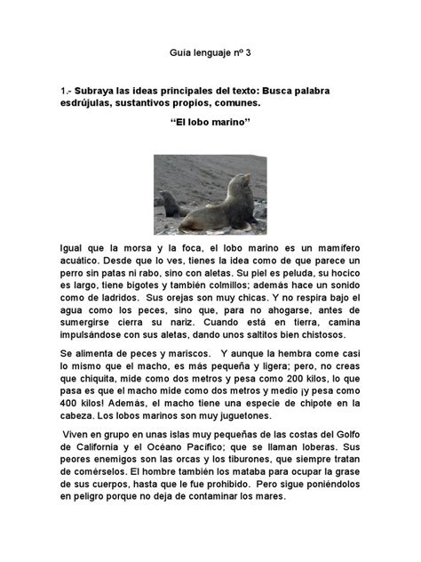 Guía Lenguaje 18 Pdf