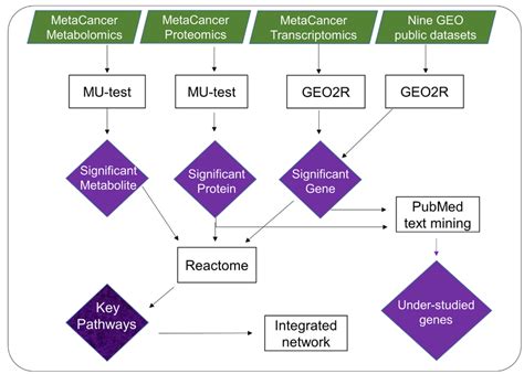 Overview Of Multi Omics Data Mining To Reveal Metabolic Dysregulation