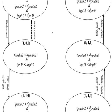 analyzed cyclic behavior using the timed modeling approach values