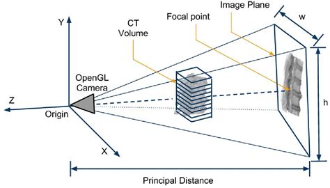 Three Dimensional Kinematic Analysis Of Spine Motion Semantic Scholar