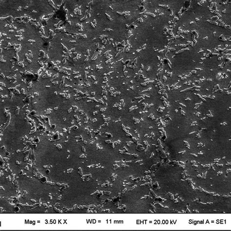 Sem Micrograph Of The Alloyed Zone Microstructure Of Specimen Alloyed
