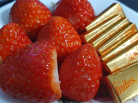 드디어 딸기 한 팩 6천원 Vlum