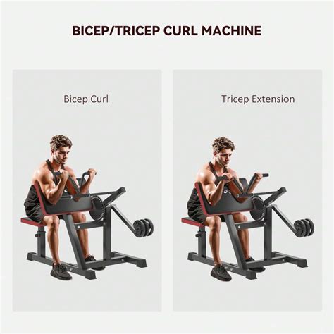 Soozier Soozier Bicep Tricep Curl Machine Plate Loaded Bicep Curls And