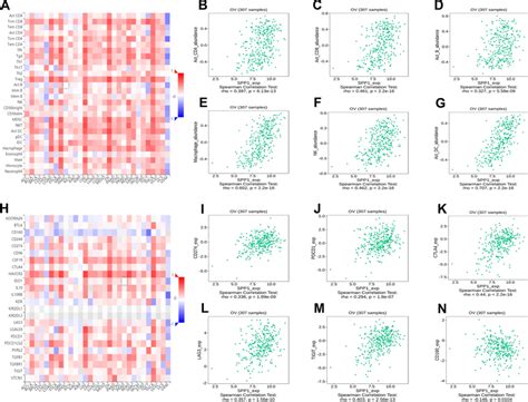 Correlation Of Spp1 Expression With Immune Cells In Cancer A The Download Scientific Diagram