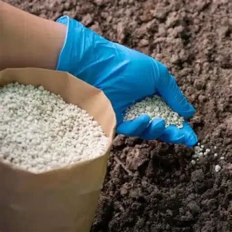 All About Nitrogen Fertilizers Types Benefits And Application Tips