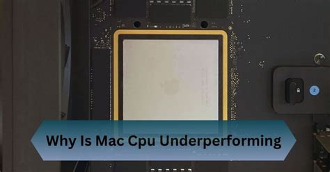 Cpu Maximum Frequency Always 100 Tips And Tricks
