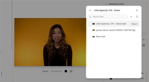 Import Files From Other Projects Descript Help