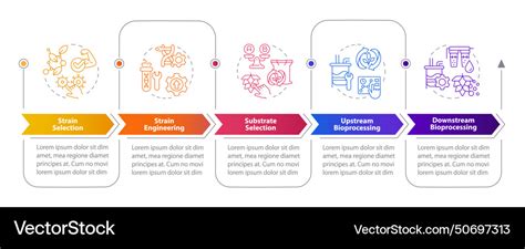 Fermentation Bioprocessing Rectangle Infographic Vector Image