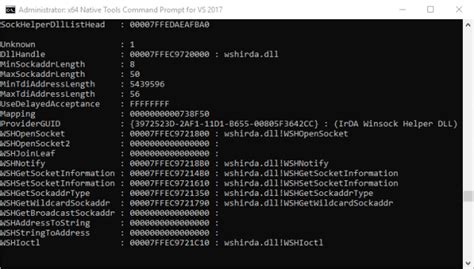 Windows Process Injection Winsock Helper Functions Wshx Modexp