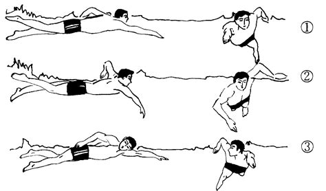 游泳入门给新手的一点建议 默容 MoRong