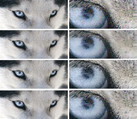 Figure 15 From High Dimensional Gaussian Filtering For Computational Photography Semantic Scholar