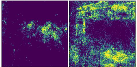Deep Learning Final Project Classifier To Segmentation