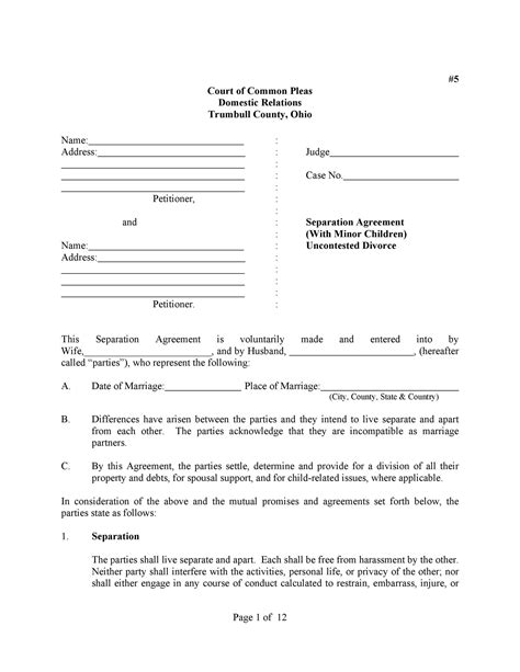 Free Marriage Separation Agreement Template Professional Graphic