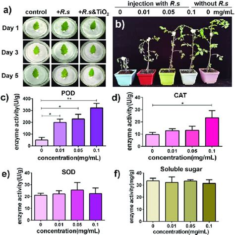 A And B The Effect Of Nano Tio 2 On In Vitro Tomato Leaves And Potted