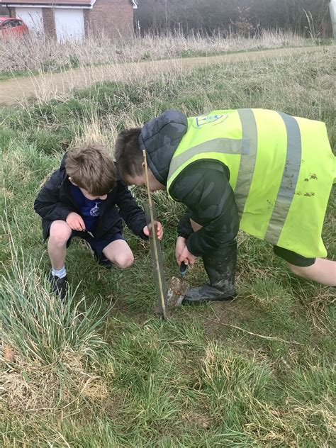 Hurst Meadows Tree Planting Hurstpierpoint Sayers Common Parish Council
