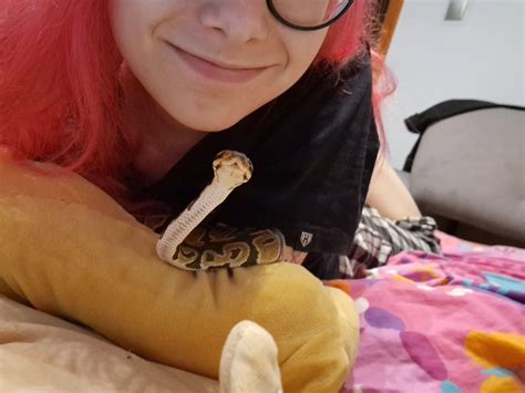 Posing With My Baby Babe R Ballpython