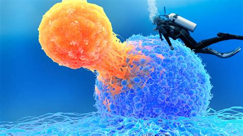 Morphological Profiling A Scalable Approach To Monitor Immune Cell Activity