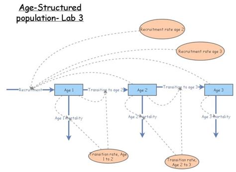 Lab 3 Exercise 3 Insight Maker