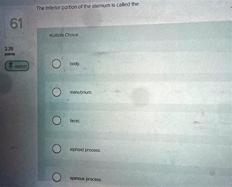 The Inferior Portion Of The Sternum Is Called The Multiple Choice Body Manubrium Facet Xiphoid