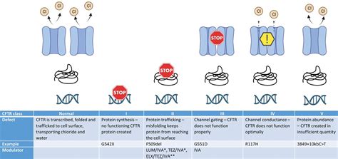 Cftr Modulators For The Gastroenterologist Journal Of Pediatric Gastroenterology And Nutrition