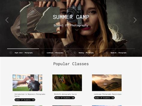 React Js React Developer Front End Developer Mern Stack Upwork