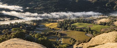 Sonoma Appellations And Vineyards Rodney Strong Vineyards