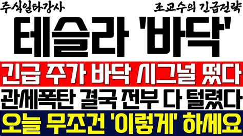 테슬라 주가전망 긴급 주가 바닥시그널 떴다 관세폭탄 결국 전부 다 당했다 오늘 무조건 이렇게 하세요 Youtube