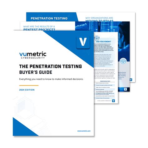 What Is The Cost Of A Penetration Test The Determining Factors Vumetric