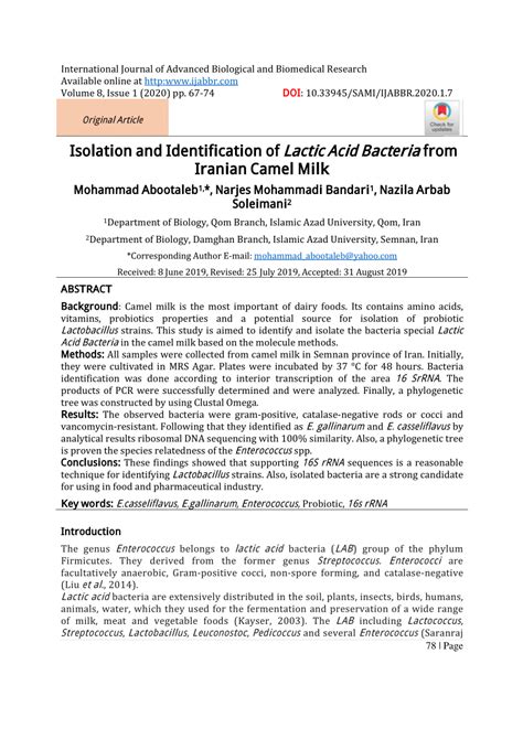 (PDF) Isolation and Identification of Lactic Acid Bacteria from Iranian ...