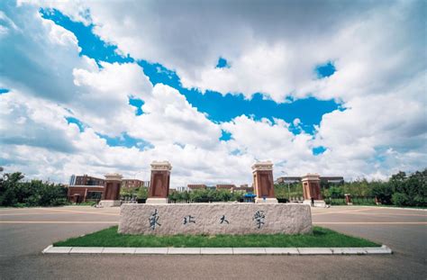 2023年东北大学土木水利考研上岸经验 知乎