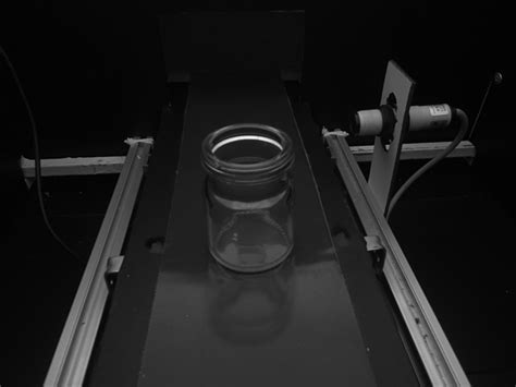 701 Object Detection Dataset By Duy