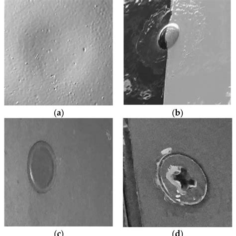 Sample Images From The Two Datasets Created For Training The Download Scientific Diagram