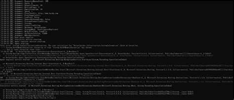 The Type Initializer For Dotnetspiderinfrastructuresysteminformation