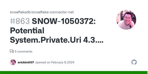 snow 1050372 potential system private uri 4 3 0 issue · issue 863 · snowflakedb snowflake