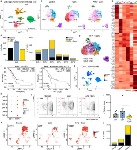 Comprehensive Analysis Of Single Cell Rna Sequencing Data Revealed The Download Scientific