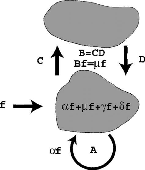 Two Modules Linked By An Associative Pattern Feedback Loop B And C Are