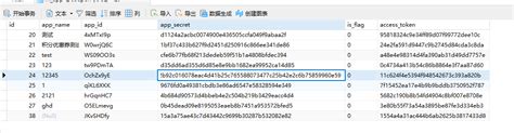 通过appid和appsecret生成accesstoken访问api后端接口 接口授权 springboot中根据appid和