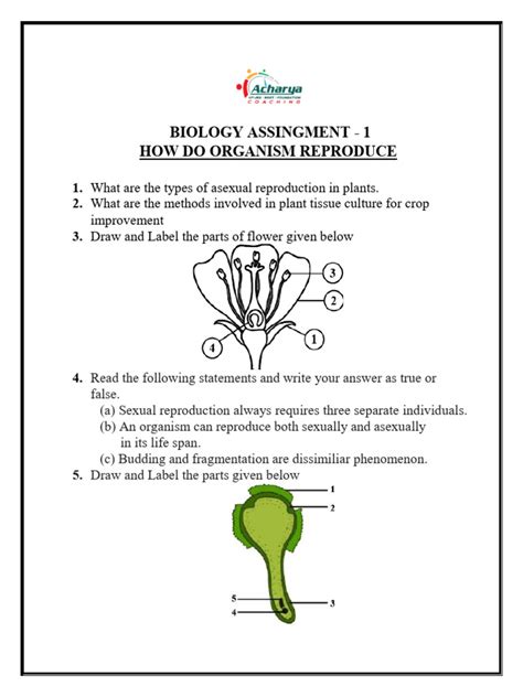 Biology Assignment Class 10 Practice Pdf