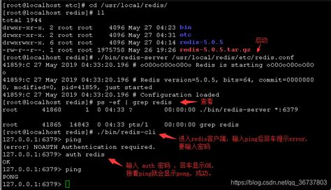 linux下最新版redis5 0 5的详细安装及配置过程 redis 5 0 5 bin下载 csdn博客