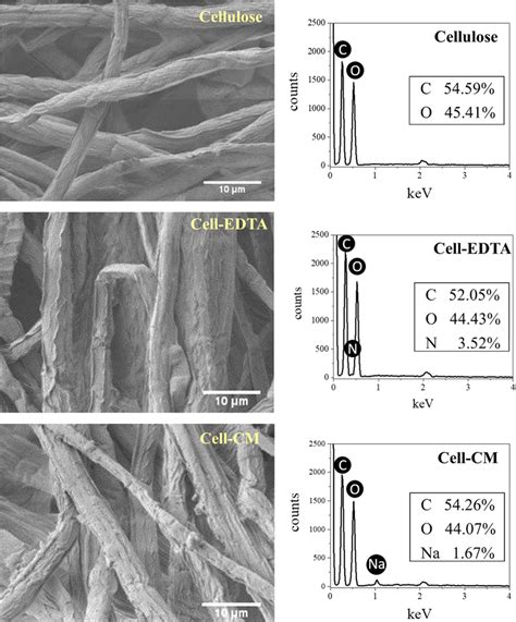 Sem Images With Elemental Compositions Of Extracted Cellulose