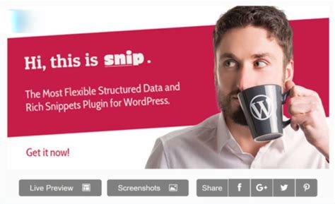 Best WordPress Rich Snippets And Schema Plugin To Consider In Wordpress Website Design