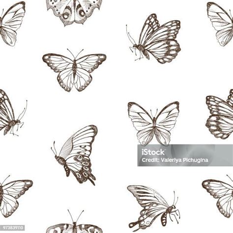 손으로 그린 갈색 실루엣 나비의 컬렉션입니다 벡터 일러스트 빈티지 스타일입니다 높은 상세한 손으로 그린 그림 나비 봄 테마입니다 벡터 디자인 나비에 대한 스톡 벡터 아트 및