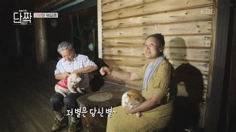서로 챙겨 주고 보듬어주는 모습이 부부와 꼭 닮은 개와 고양이 커플 Kbs 220903 방송 Zum Tv