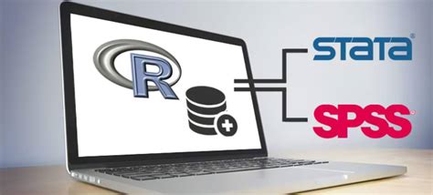 Do Statistical Data Analysis Using Stataspssr And Excel By
