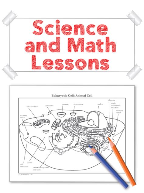 Home Science And Math With Mrs Lau