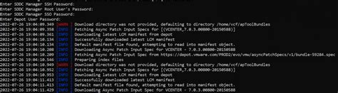 Deploy Critical Patches For Vcf With The Async Patch Tool Whilst