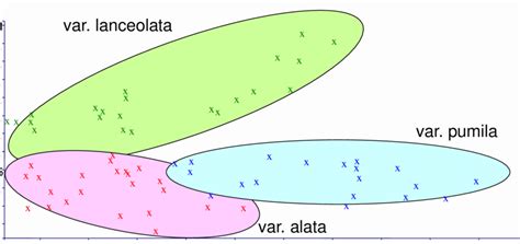 Figure Below Shows The Pc Scores Plot For All The Ten Individuals With Download Scientific